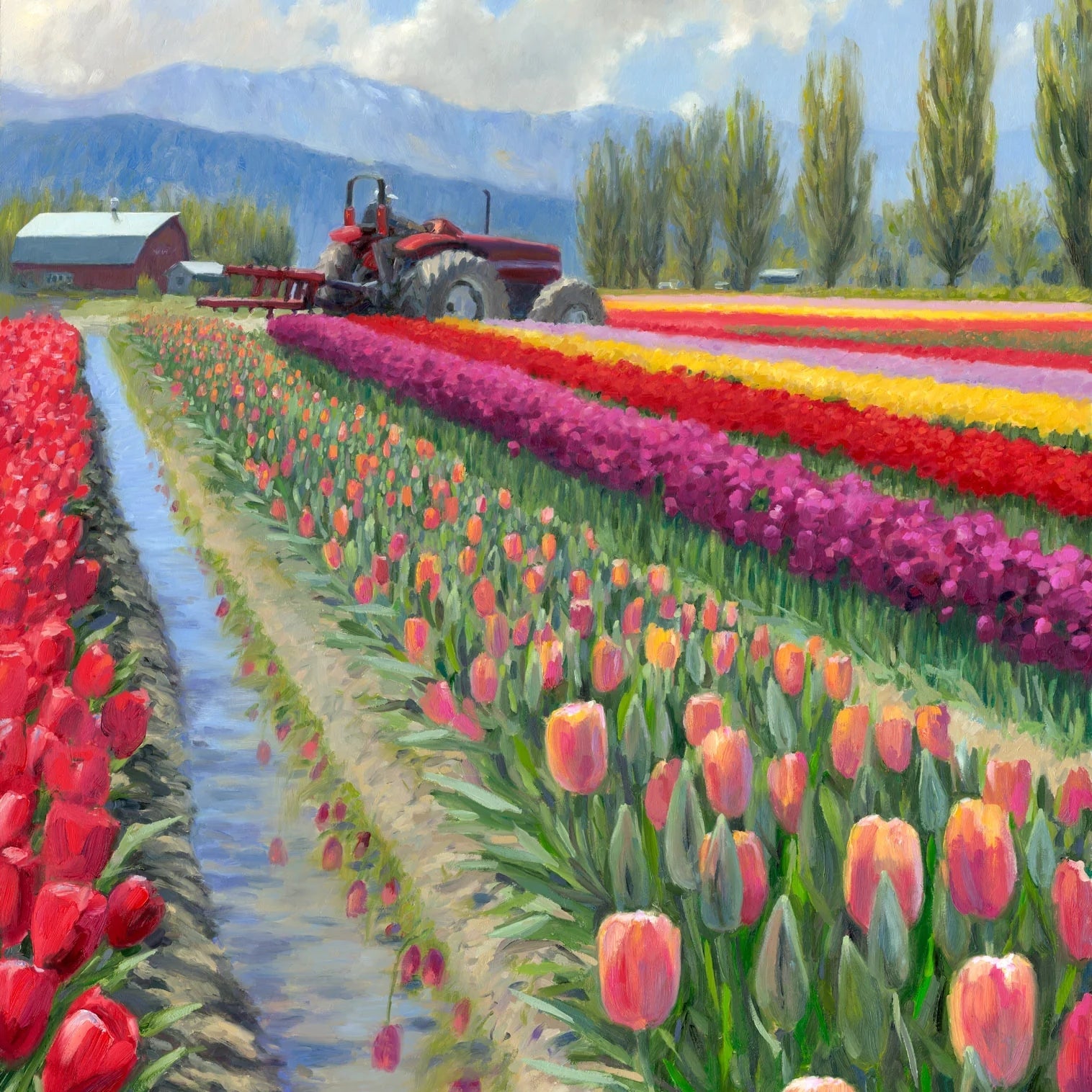 Shop Official Tulip Festival Merchandise – Skagit Valley Tulip Festival
