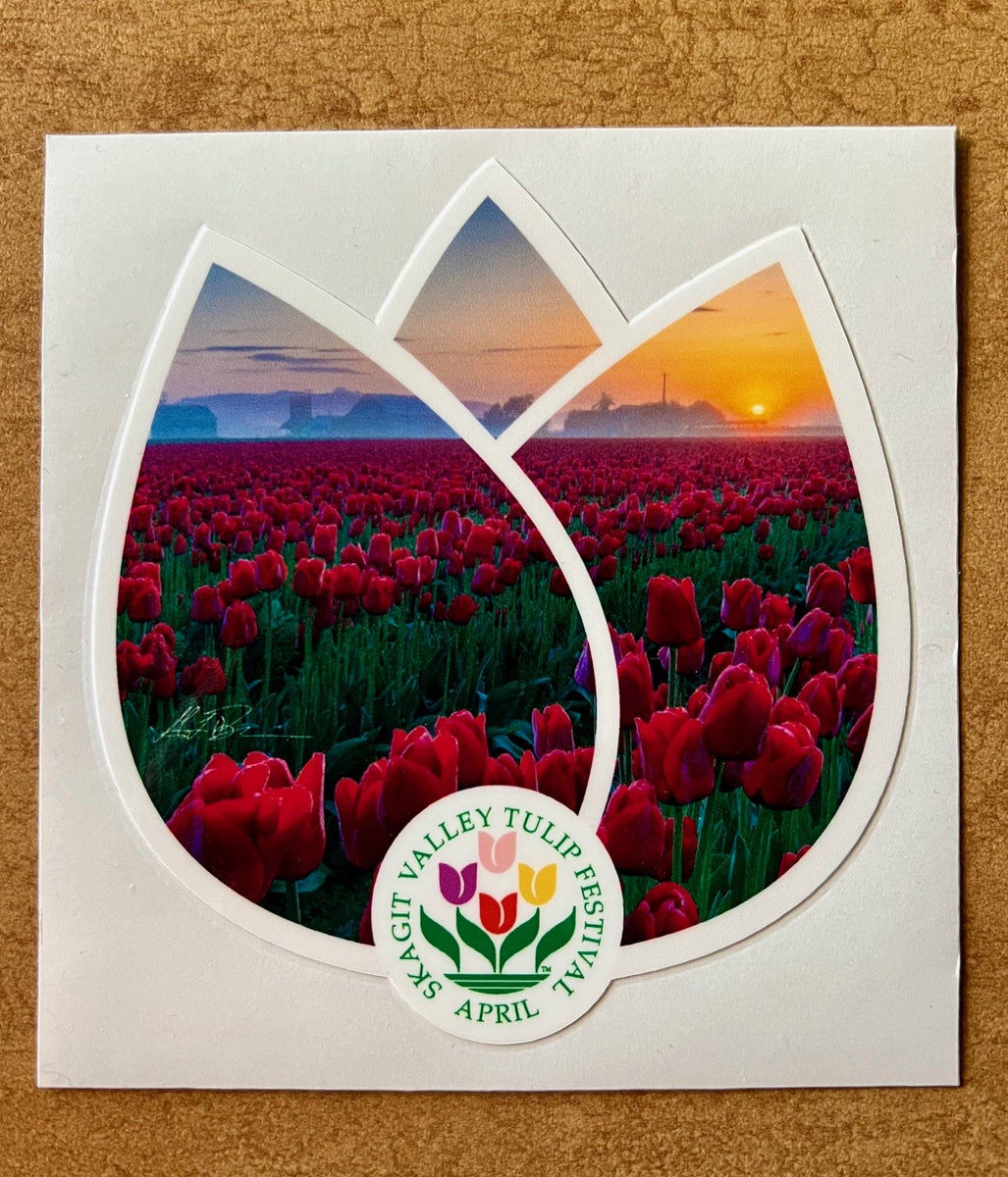 Pack of Stickers | 2024 Skagit Valley Tulip Festival